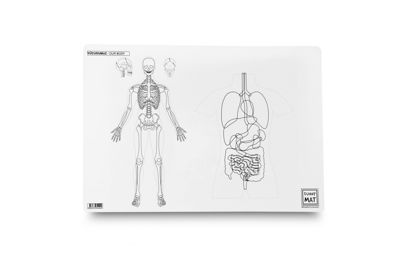 Plansa reutilizabila cu desene de colorat, model Corpul Uman,48x33.5 cm ...