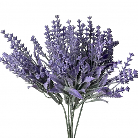 Avantflor - Importator Direct