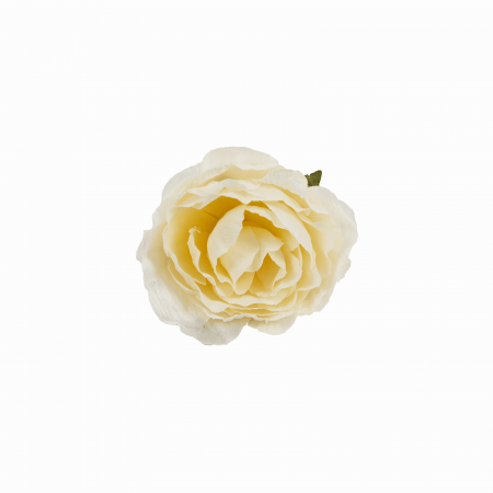 Capete flori │ Avantflor
