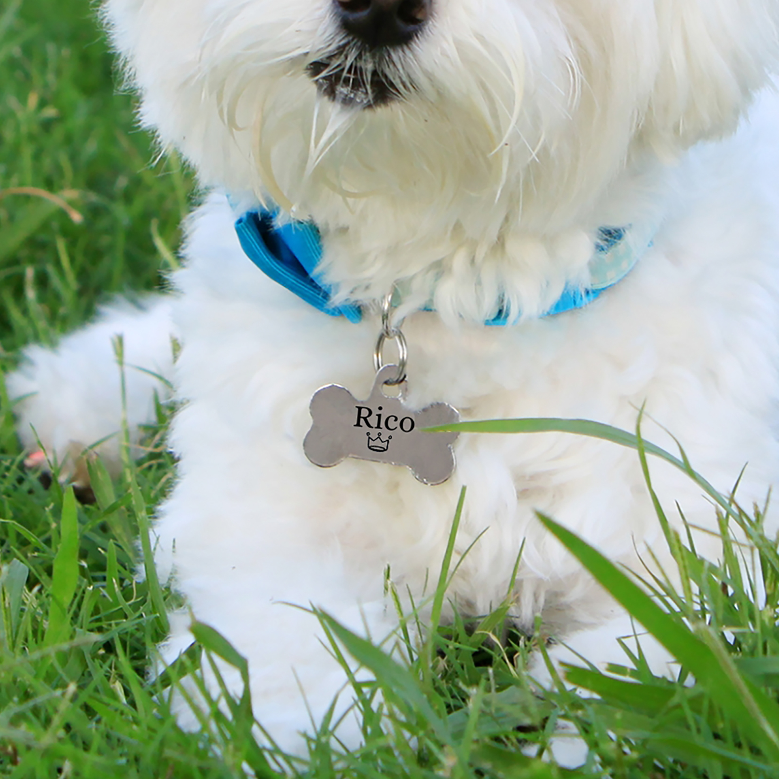 Dog tag personalizat, medalion pentru catei in forma de os, gravat cu ...