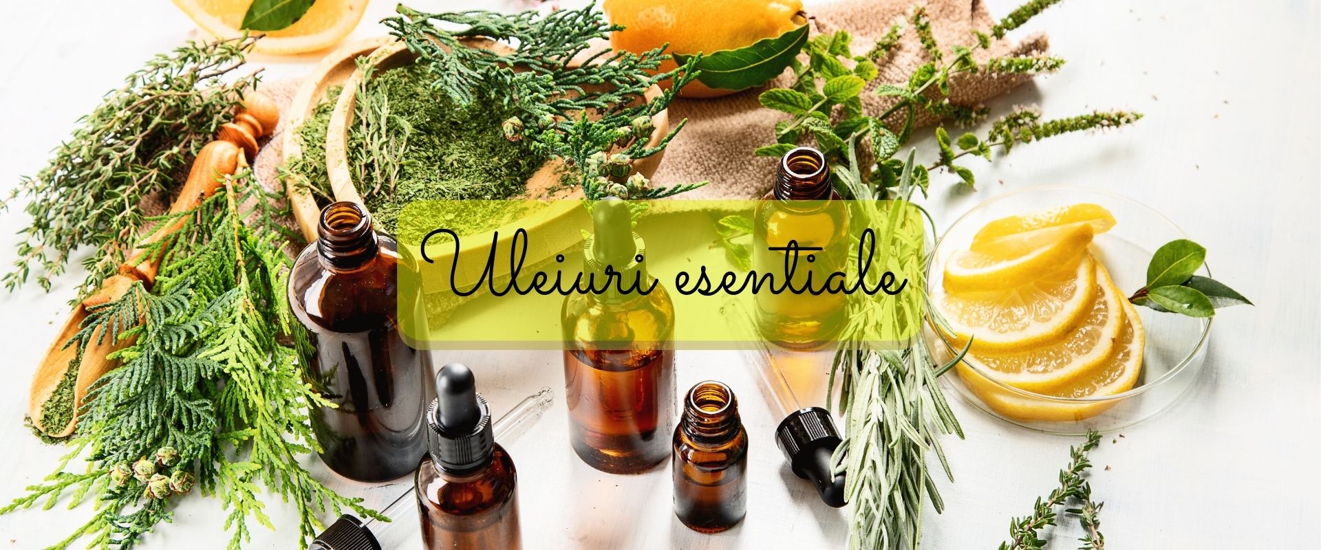 Produse Naturale BIO cu livrare rapida in toata tara