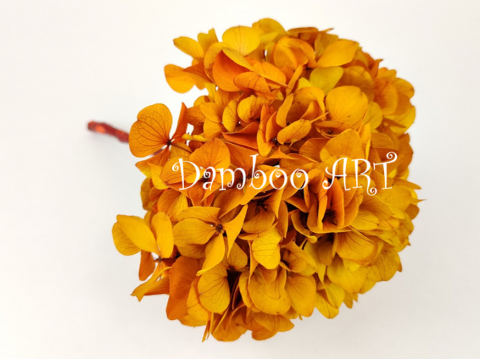 HORTENSIE NATURALA STABILIZATA PREMIUM PETALE MARI - GALBEN/ORANGE
