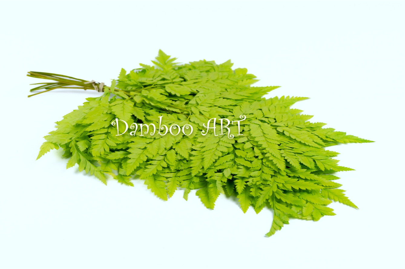 FERIGA RUMORA NATURALA STABILIZATA VERDE PRIMAVARA