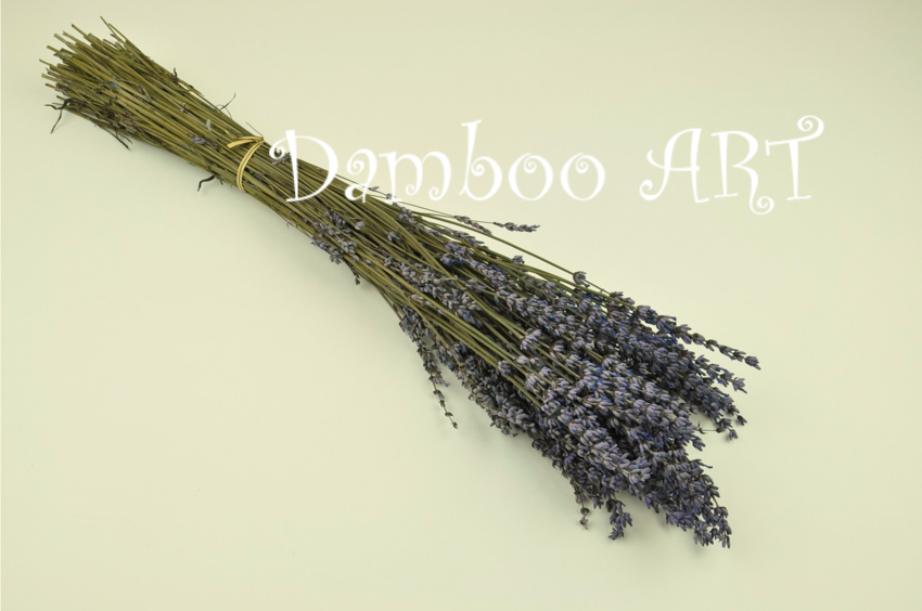 LAVANDA NATURALA CRIOGENATA MOV-ALBASTRUI