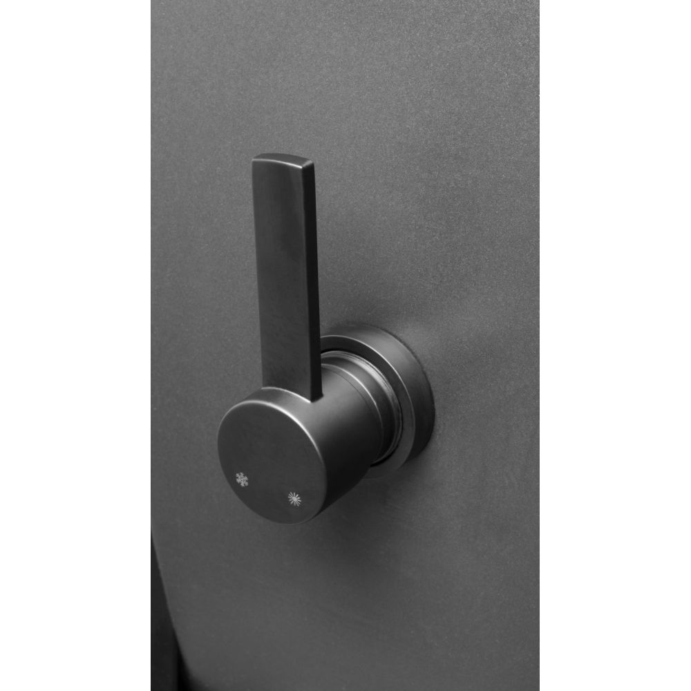 Vas wc cu functie de bideu incorporat si baterie, negru mat, Peonia ...