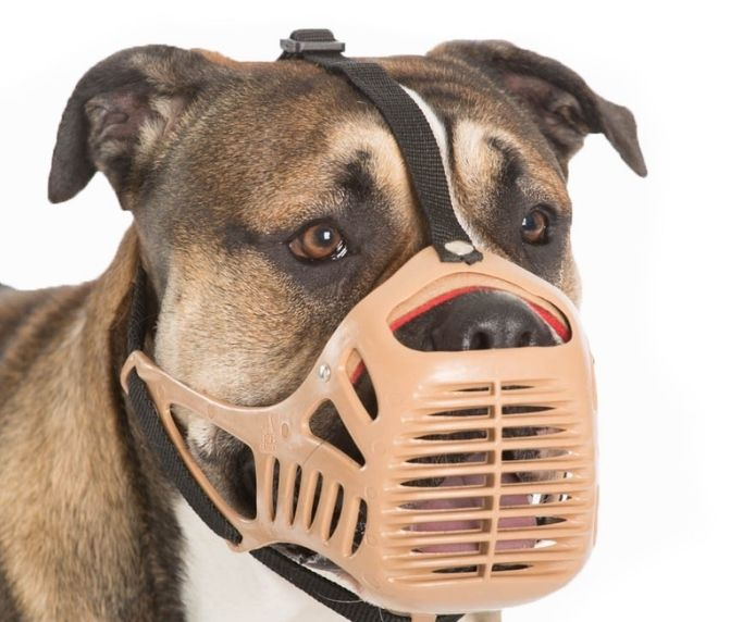 Botnita plastic pentru caini, Baskerville, NR.1