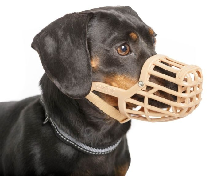 Botnita plastic pentru caini, Baskerville, NR.1