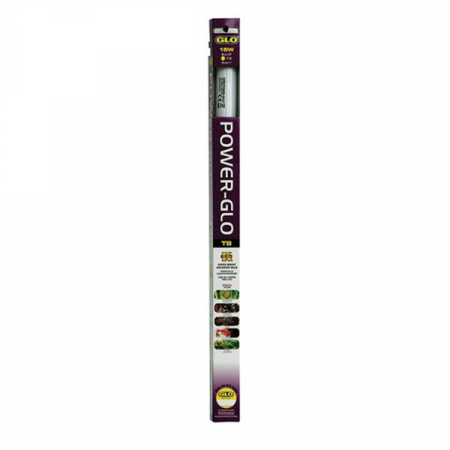 Neoane si LED-uri pentru acvarii