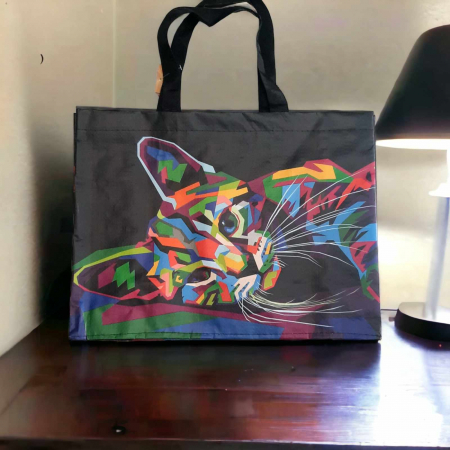 Genti /Rucsacuri pisica