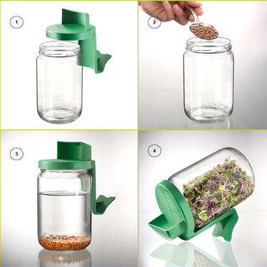 Creșterea germenilor (în borcan)