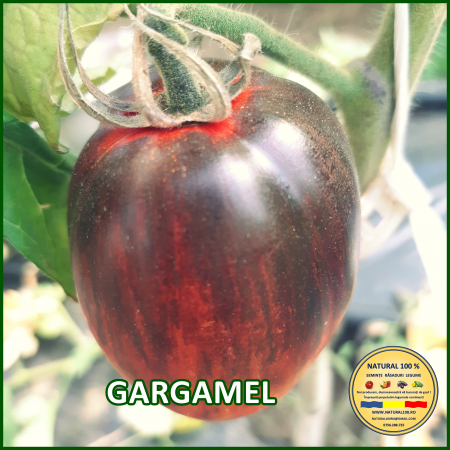 Seminte de rosii traditionale Romanesti - Soiuri vechi