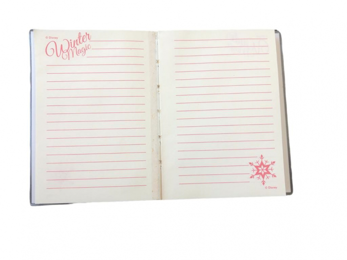Mini carnetel de notite Frozen