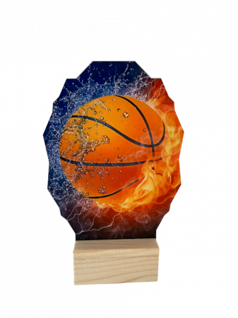 Trofeu din Plexiglas Baschet