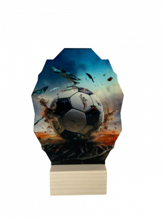 Trofeu din Plexiglas Fotbal