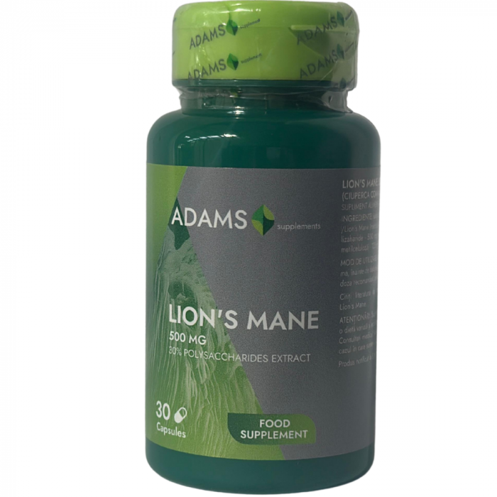 Lion`s Mane 500mg 30cps