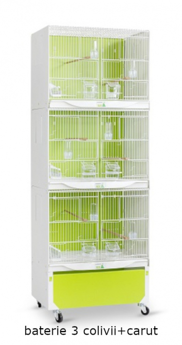 Colivie de Reproducere Profesională La Sessanta de la STA – Ideală ...