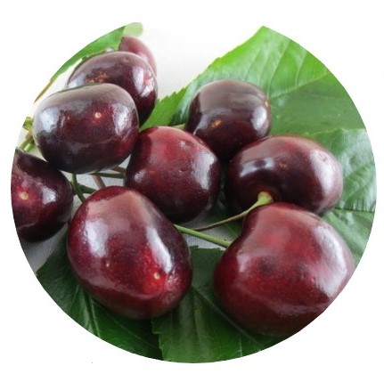 Cires Lucia balot/ghiveci