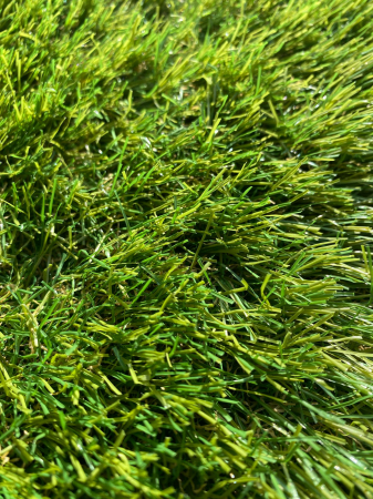 Gazon Artificial de Calitate | Cumpără Online - Covorexpert