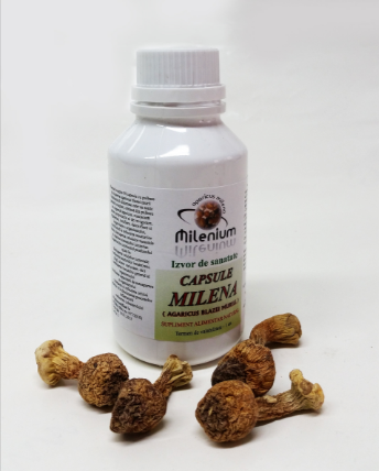 Produse din categoria ciuperci medicinale disponibile Drogheria Vara