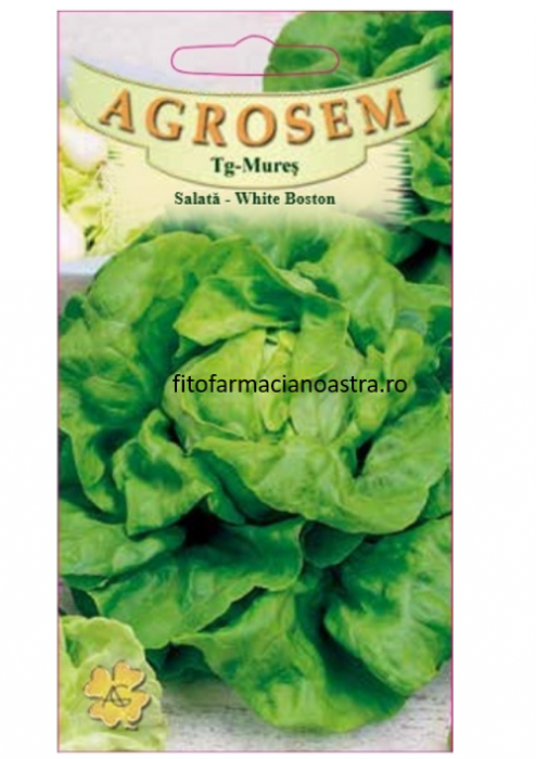 Seminte de salata 70Gr Agrosem