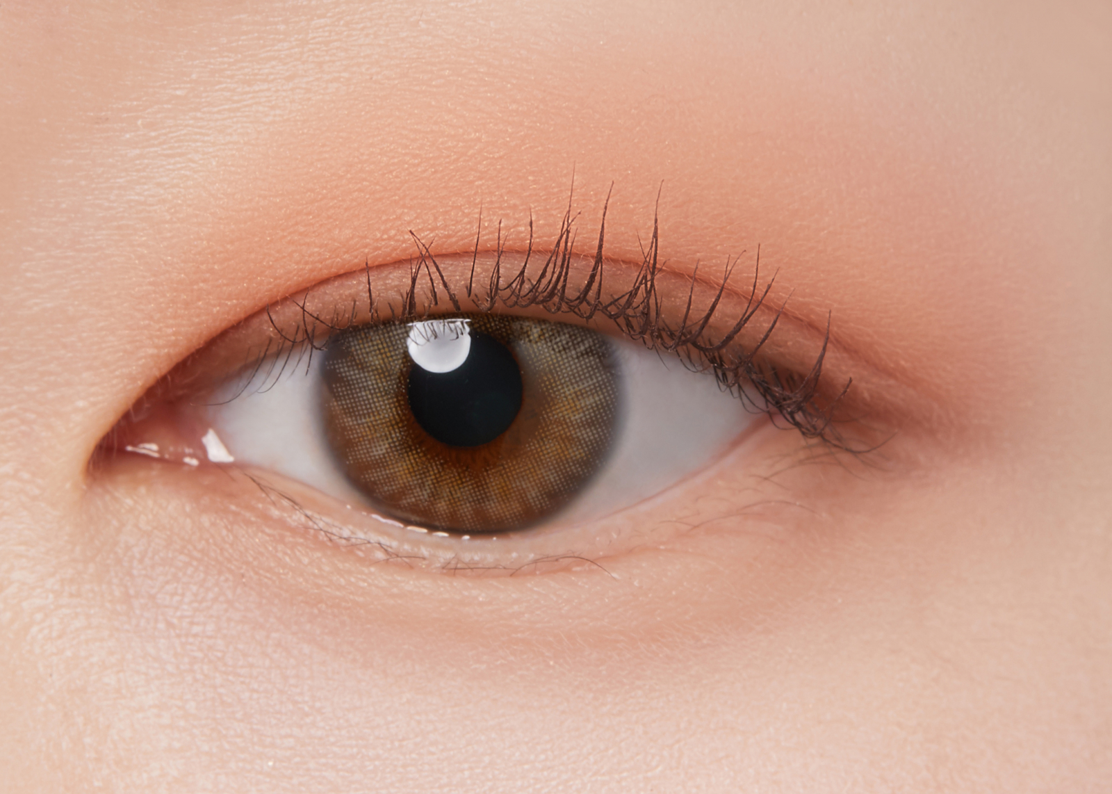 I´M MEME Color Pattern Palette 001 Coral Pattern