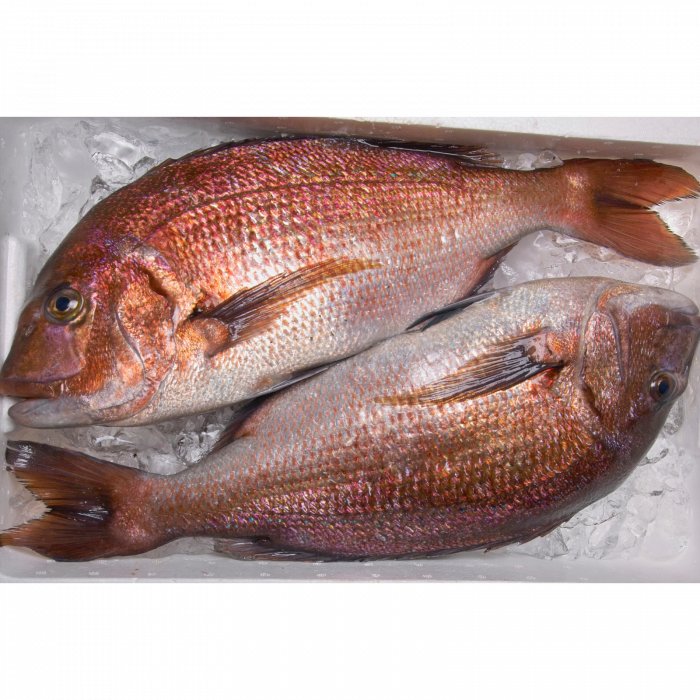 Fagri (Dorada Rosie) 1G (400-600 Gr) - Fresh - Manastirea Vatoped