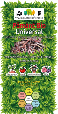 Pante ieftine te ajuta sa iti indeplinesti visele la preturi reale si ...