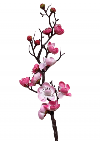 Pravalia cu Surprize | Magazin Home Deco & Fashion Accessories