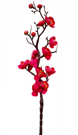 Pravalia cu Surprize | Magazin Home Deco & Fashion Accessories