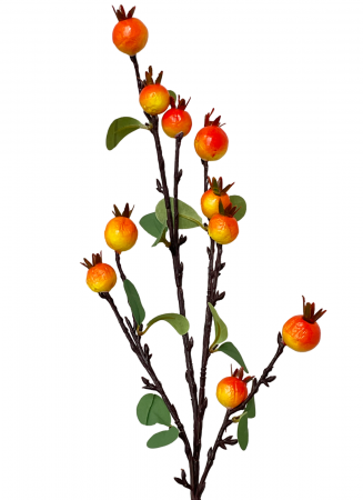 Pravalia cu Surprize | Magazin Home Deco & Fashion Accessories