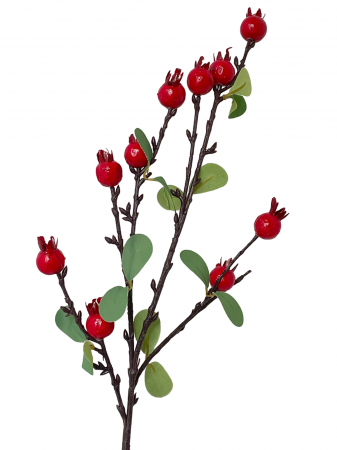 Pravalia cu Surprize | Magazin Home Deco & Fashion Accessories