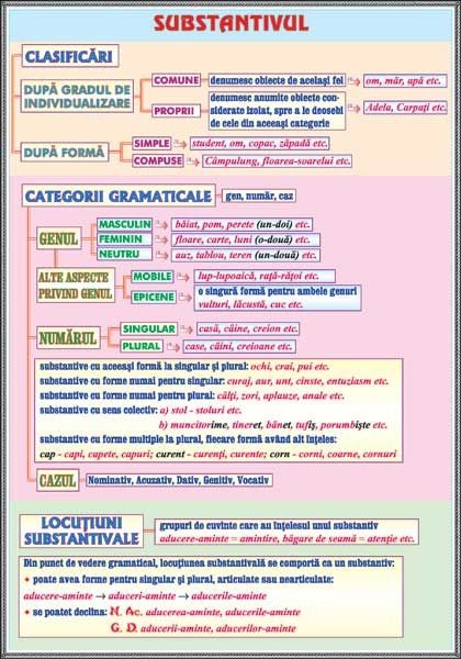 PLANSA SUBSTANTIVUL /CAZURILE SUBSTANTIVULUI (DUO)