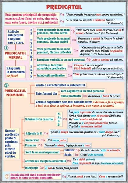 PLANSA ARTICOLUL /PREDICATUL (DUO)
