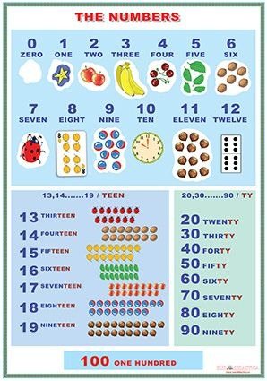 The numbers from 0 to 100/The numbers (DUO)