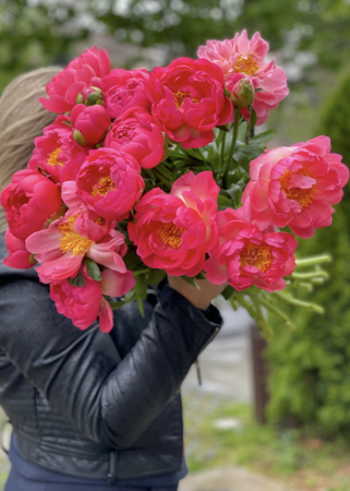 Buchet bujori roz corai romanesti