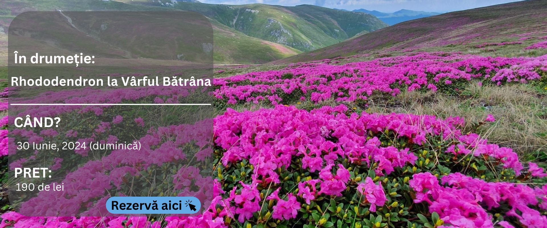 În drumeție - Hai si tu in gasca