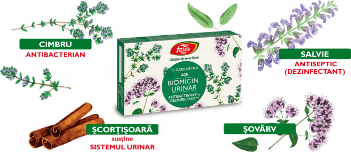 Biomicin Urinar, 15 capsule