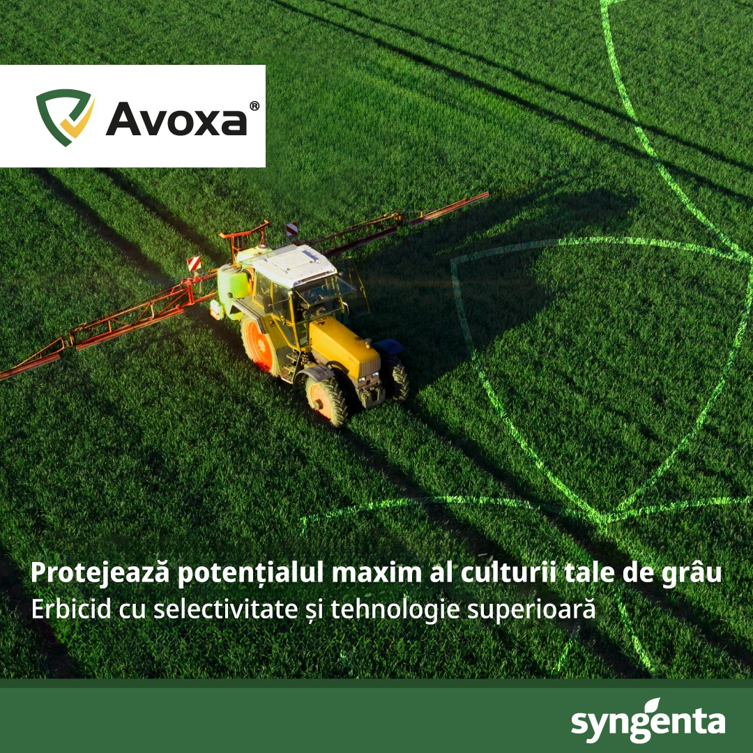 Erbicid Avoxa - Pesticide